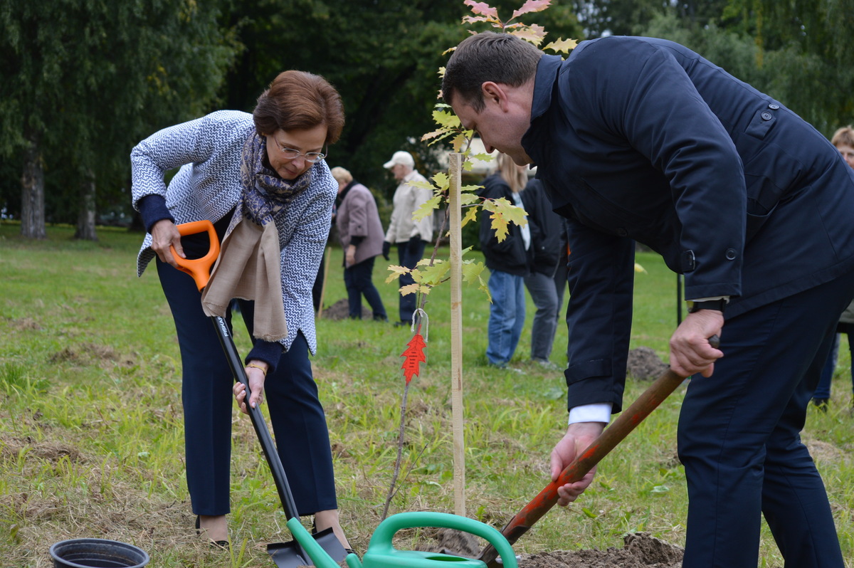 FOTO: Trapenes parkā augs “Laimes koki” - ZiemelLatvija.lv
