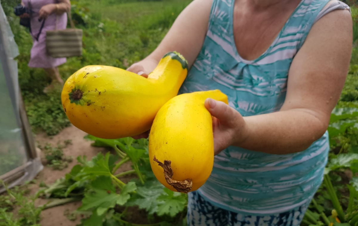 Septiņas Vidzemes bezpeļņas organizācijas, tostarp no Smiltenes un ...