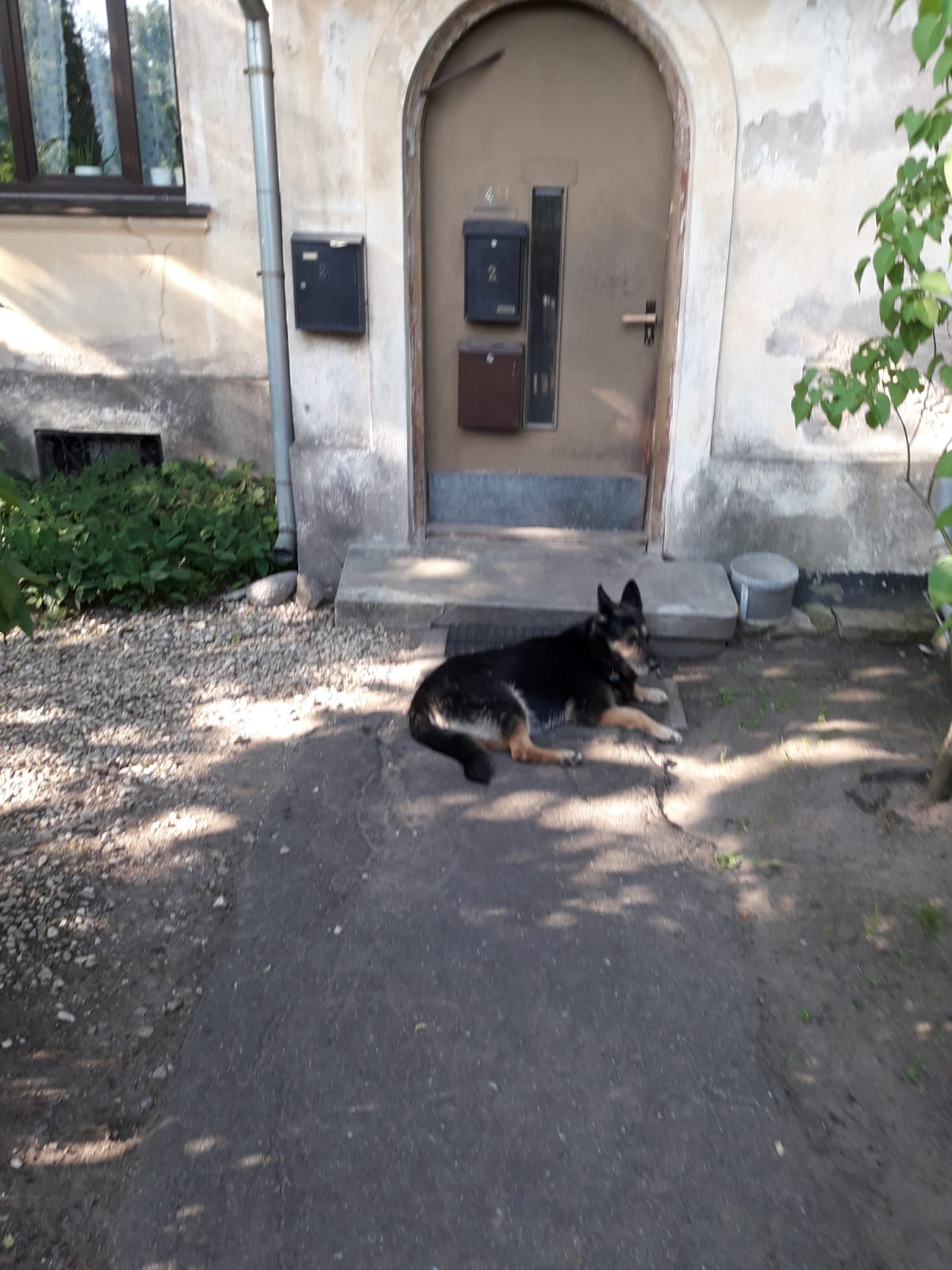 "Latvijas Pasts" aicina sakārtot pastkastītes un pieskatīt mājas sargus ...