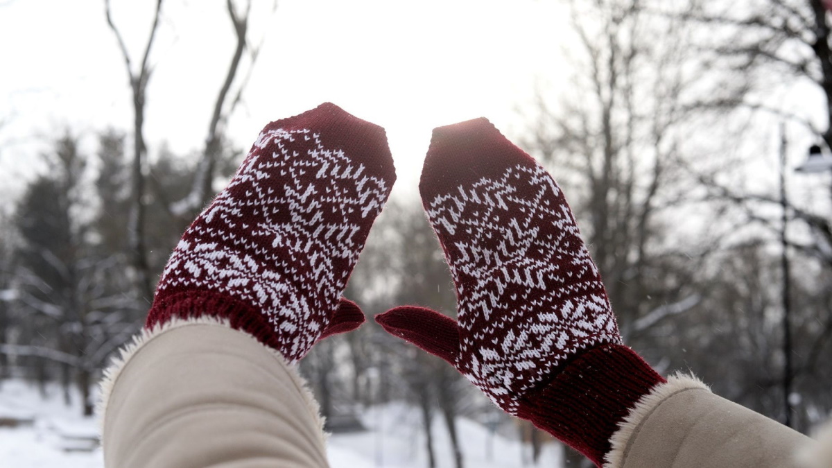 Valkas bibliotēka aicina kopīgi veidot virtuālo izstādi - ZiemelLatvija.lv